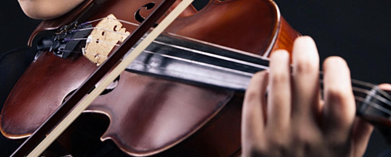 La Différence Entre Un Violon Et Un Alto