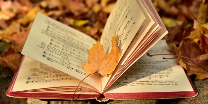 Composer Sa Musique : Structure D'une Chanson